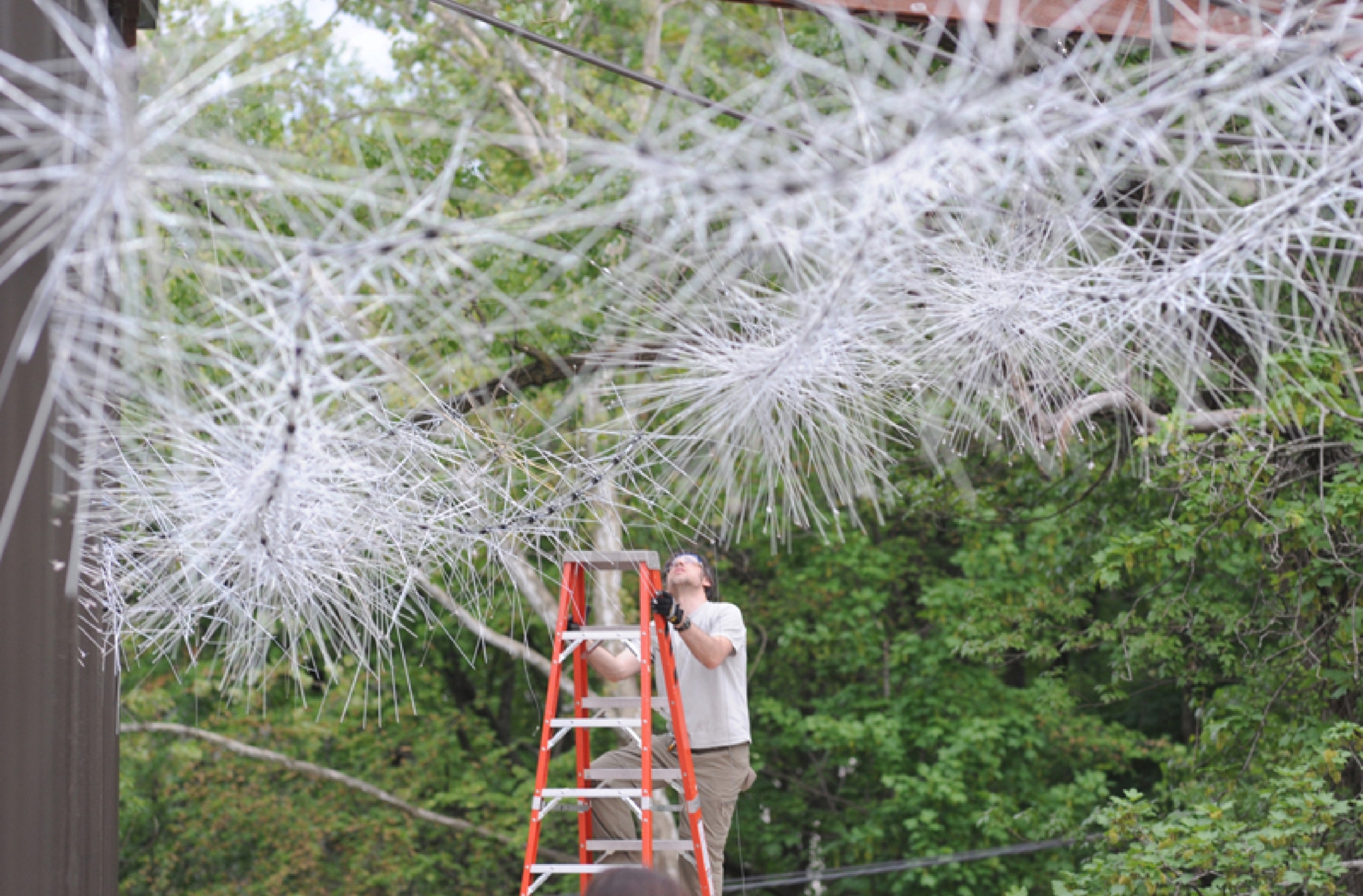 BUSHKILL OVERFLOW - SLO Architecture | New York City